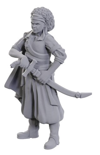 Dungeons & Dragons Nolzur's Marvelous Unpainted Miniatures: W23 Ansalo ...